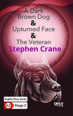A Dark Brown Dog - Upturned Face - The Veteran - İngilizce Hikayeler A2 ...