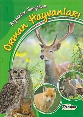Hayvanları Tanıyorum - Orman Hayvanları - Kolektif - Fiyat & Satın Al ...